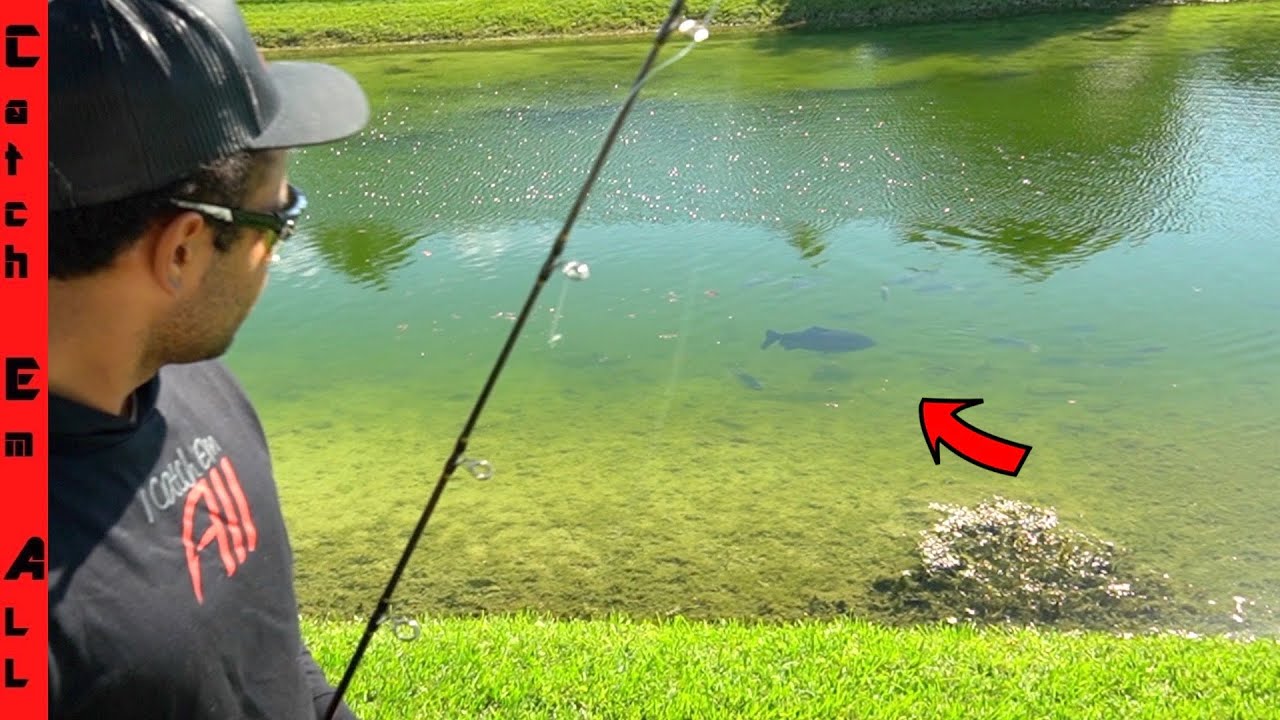 PLASTIC FOUND INSIDE the FISH! **BIG MISTAKE FISHING** - YouTube