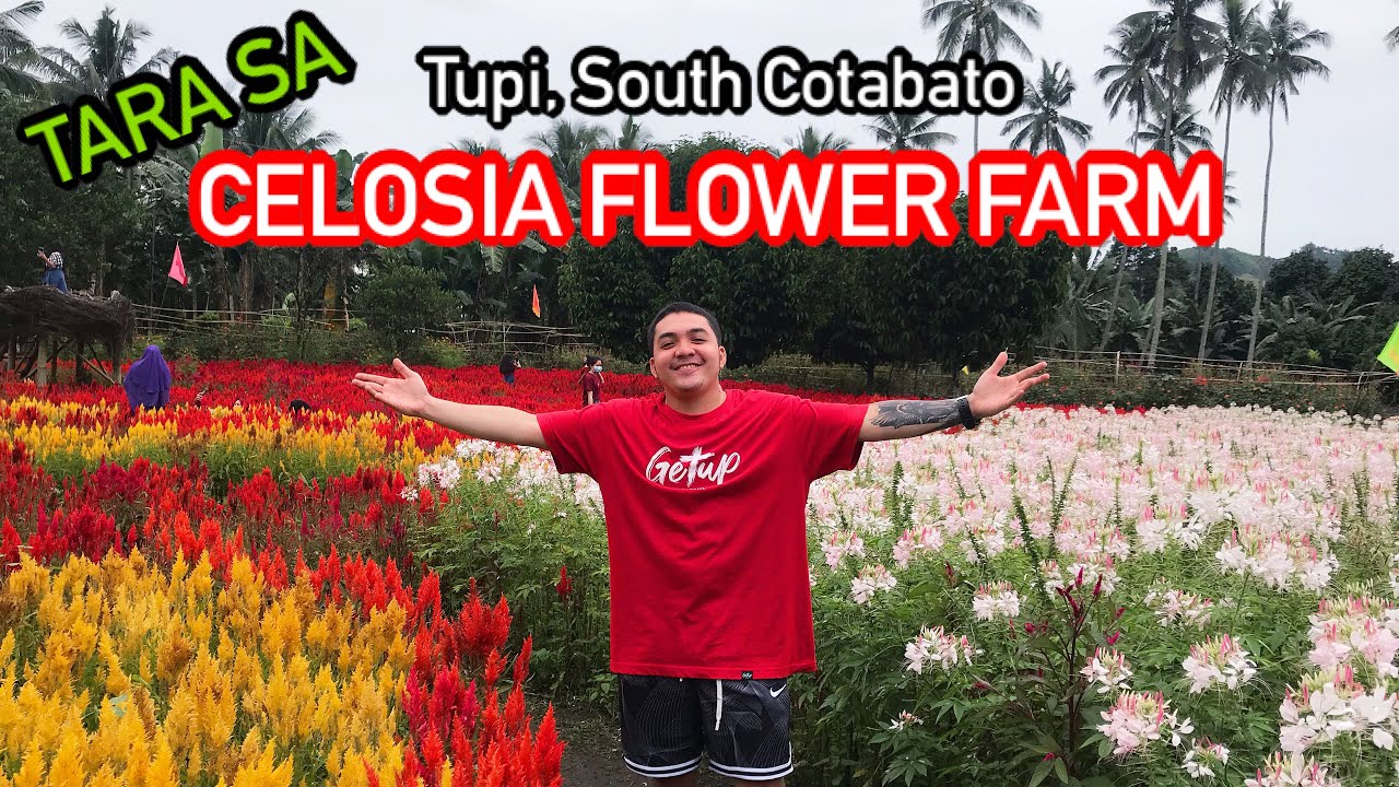 Flower Farm In Rizal | Best Flower Site