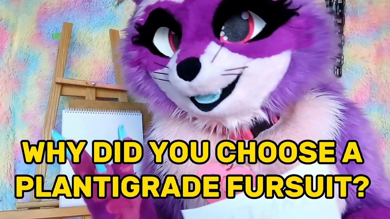 why choose a plantigrade fursuit over a digitigrade? - YouTube