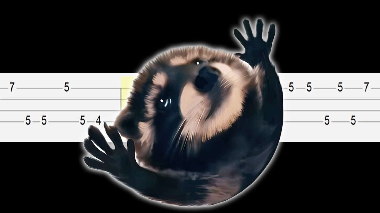 Pedro Pedro Pedro - Raccoon Meme Chords - Chordify