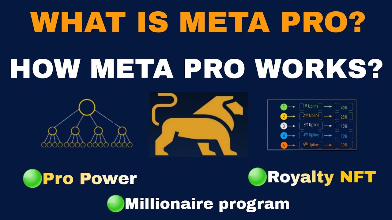 Full Explanation on how Meta Pro works - YouTube