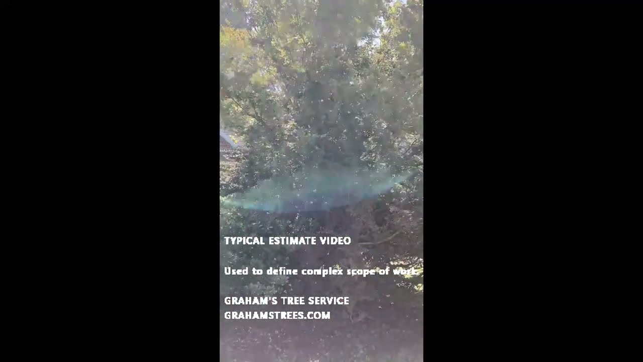 Graham Tree Service - YouTube