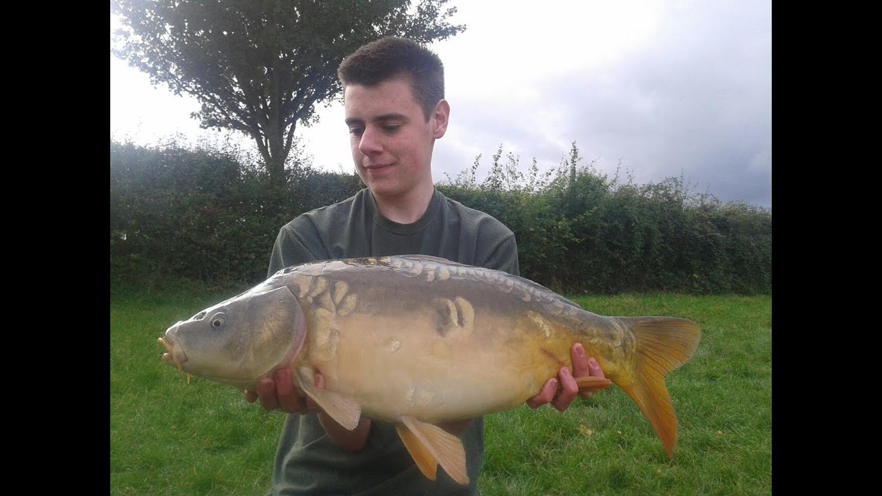2 Screaming Carp Runs - Caught on Camera 2012 - YouTube