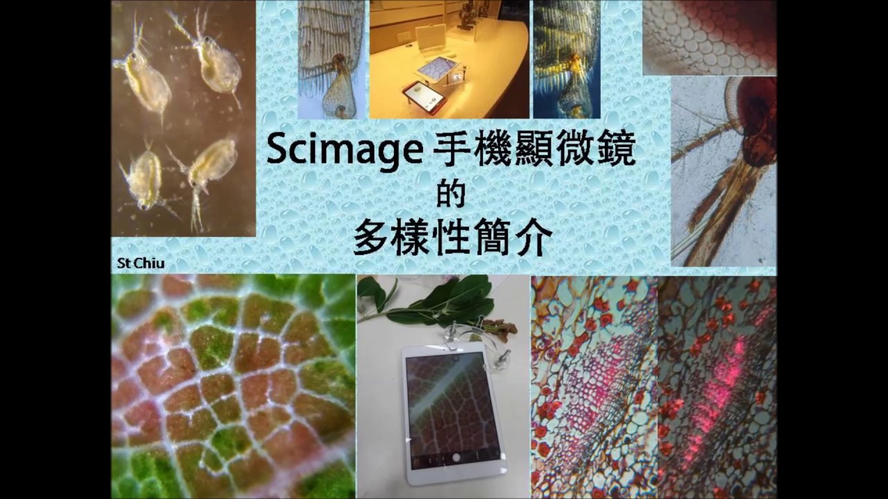 Scimage 手機顯微鏡的多樣性簡介 - YouTube