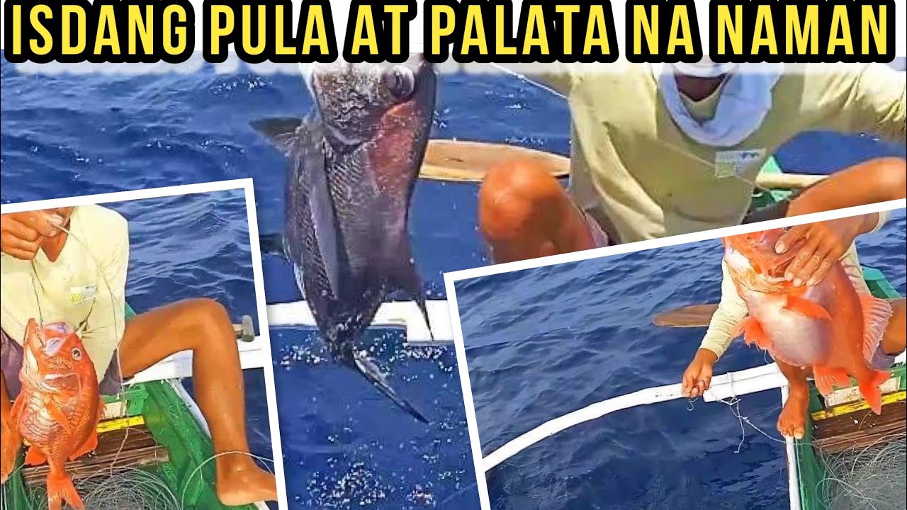 SICKLE POMFRET AT ISDANG PULA ANG BIDA | BUHAY MANGINGISDA | #fishing # ...