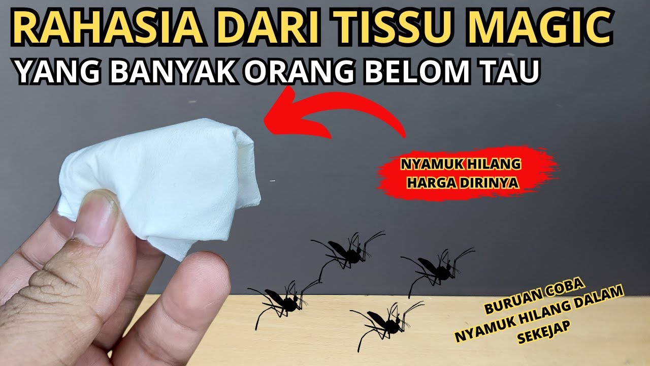 BURUAN BUAT INI!! KENAPA BARU TAU SEKARANG FUNGSI RAHASIA DARI TISSU ...