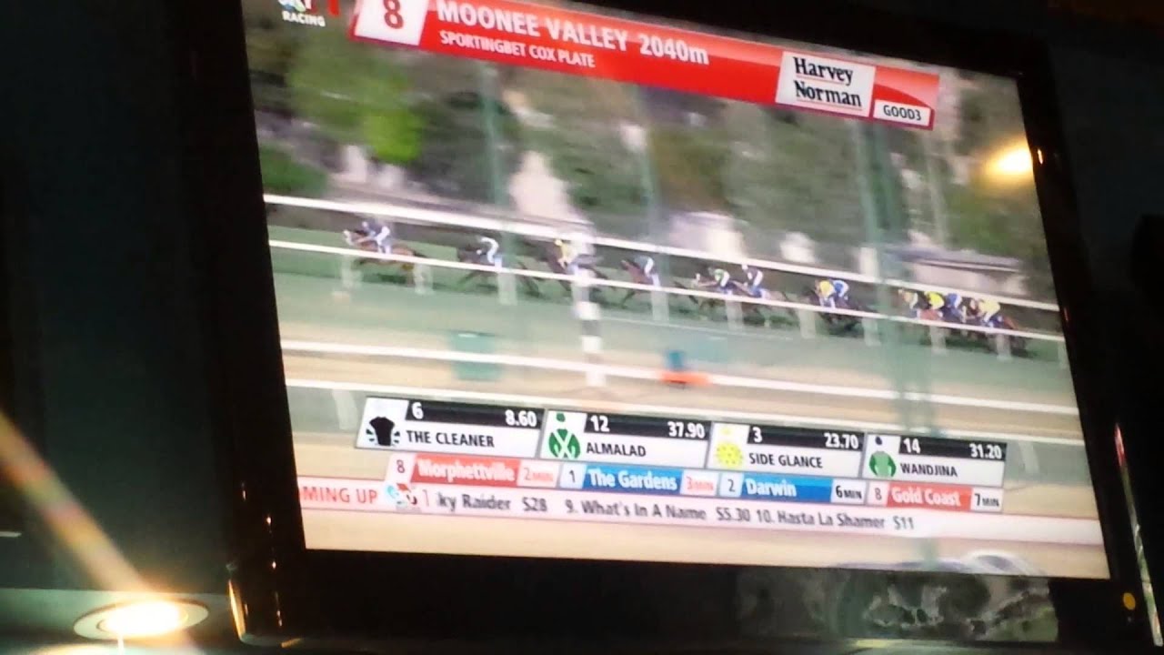 Adelaide wins the COX PLATE - YouTube