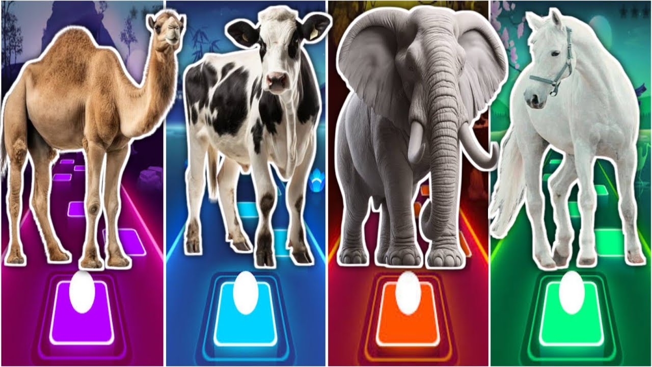 🐫Funny Camel Vs Funny Cow Vs Funny Elephant Vs Funny Horse |Coffin ...