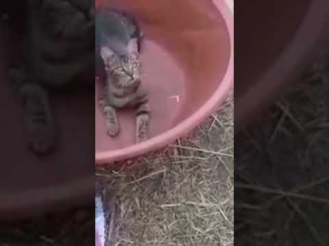 18 Eylül 2022      #Duşsaati #duşzamanı #eğlence