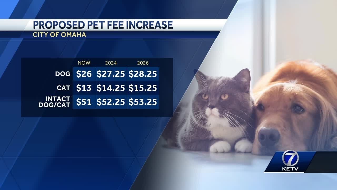 City council proposes pet licensing fee increase for Omaha residents ...