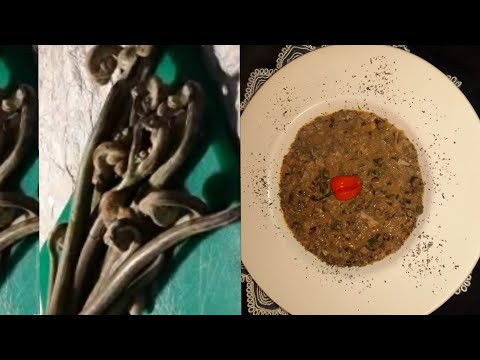 SPECIAL MISILI YA BATU YA BANDUNDU