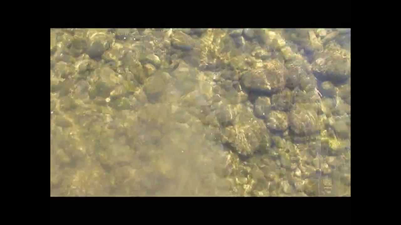 Vanja Pegan - Hišica na parkirišču - YouTube