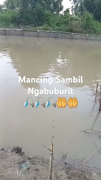 Mancing Sambil Ngabuburit Dengerin Tauziyah🎣🎣👍👍 - YouTube