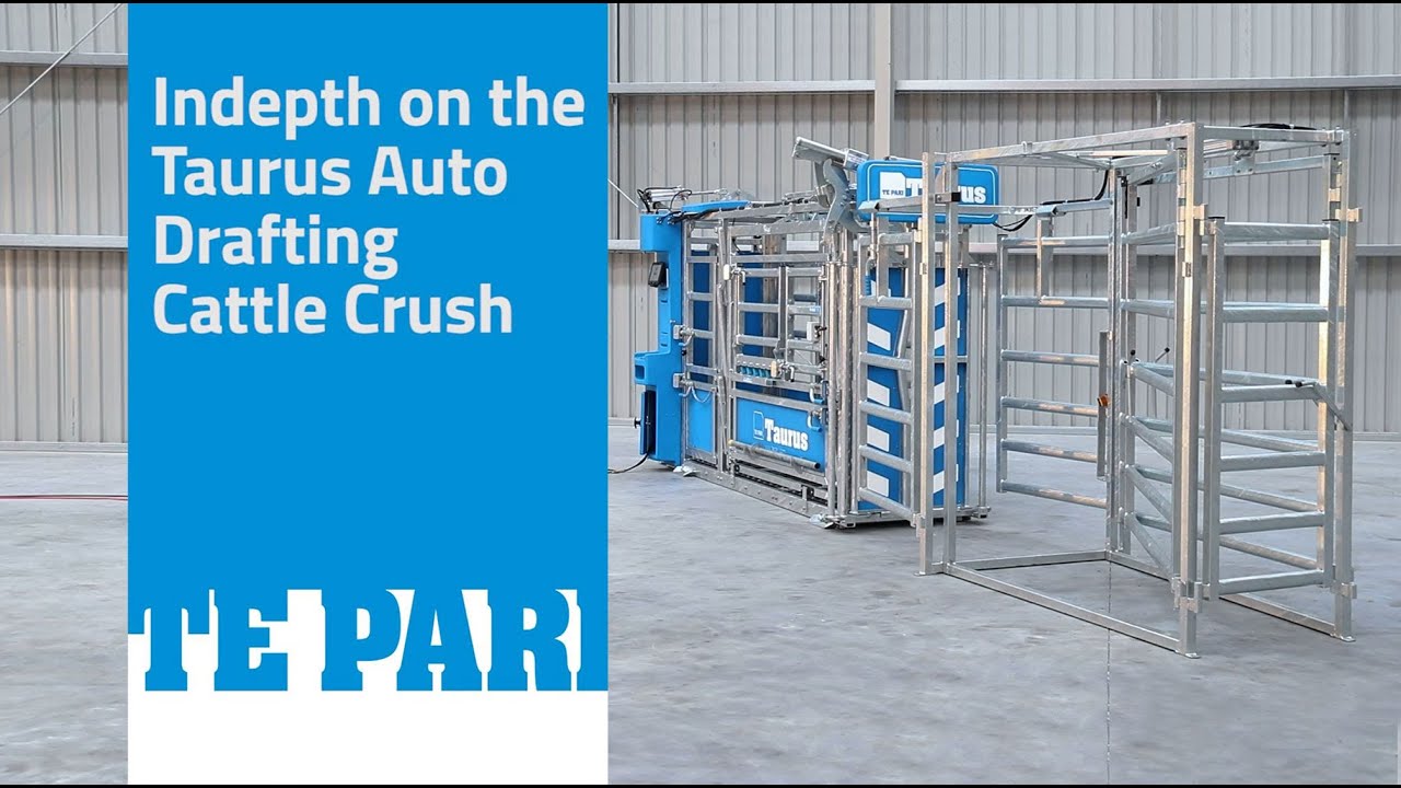 In Depth | The Taurus Auto Drafting Cattle Crush | Te Pari Products ...