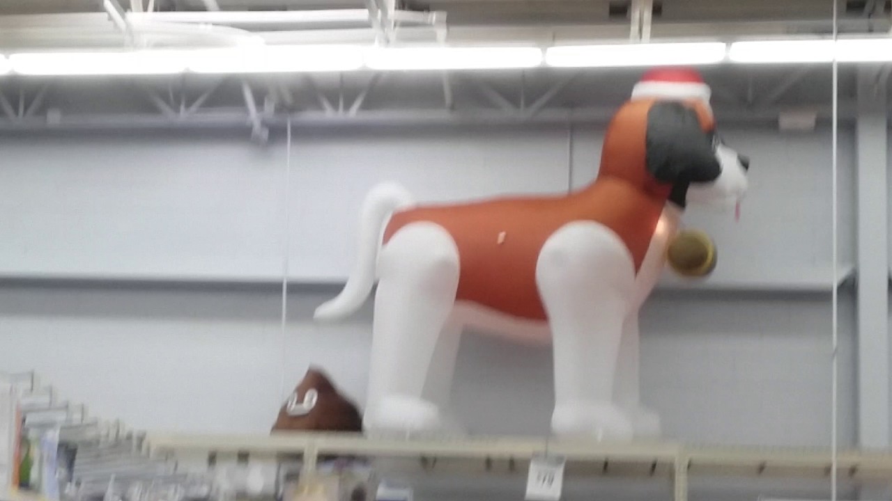 Big Dog Big Poop - YouTube