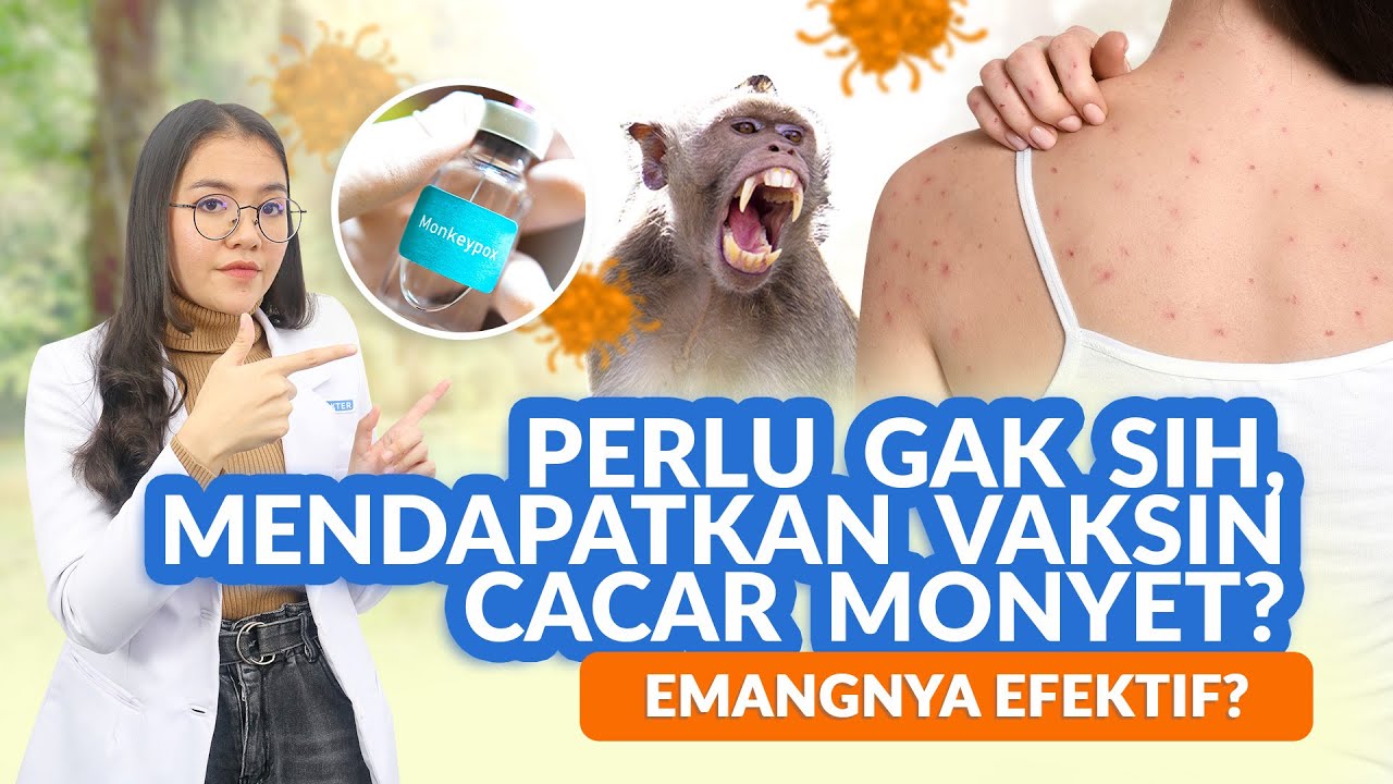 Fakta Mengenai Vaksin Cacar Monyet, Benarkah Efektif? - YouTube