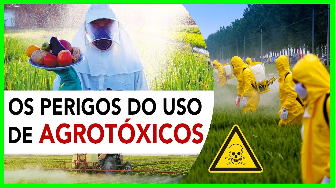 Os perigos do uso de Agrotóxicos - YouTube