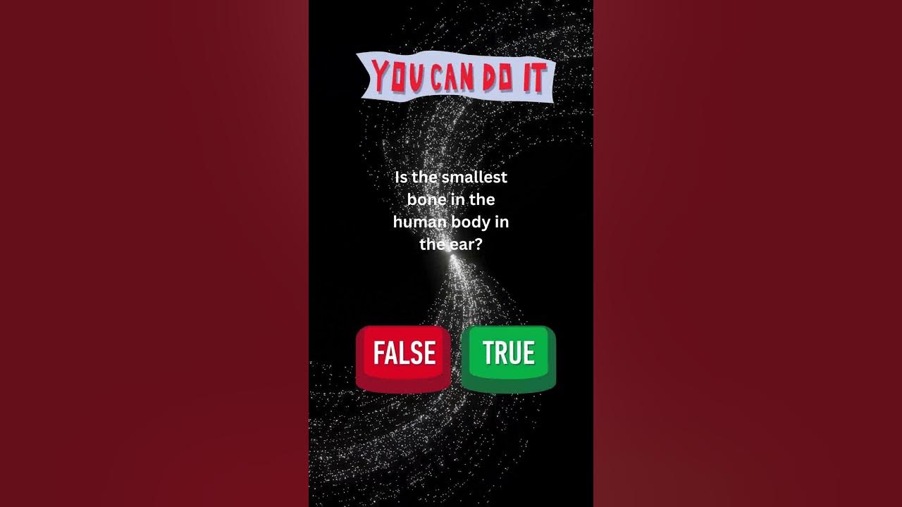 Truefalse Youtube