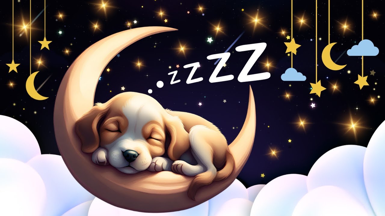 Bedtime Lullabies for Babies to Go to Sleep FAST 💤🌙 1 Hour Baby Sleep ...