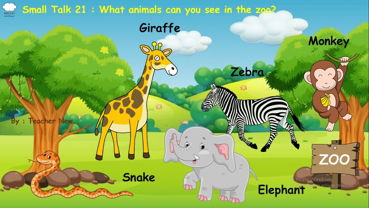 IEP_K.2_English_What animal can you see in the zoo?_By.T New_20/32 ...