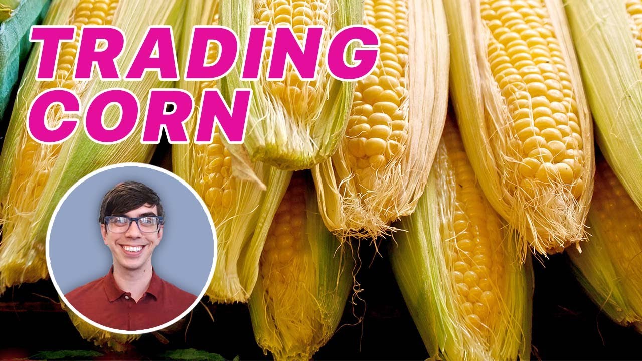 Corn Market TRADING Strategy - YouTube