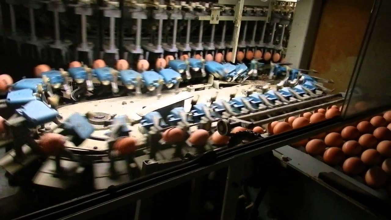 Moba 2000 Egg Grader - Operation - YouTube