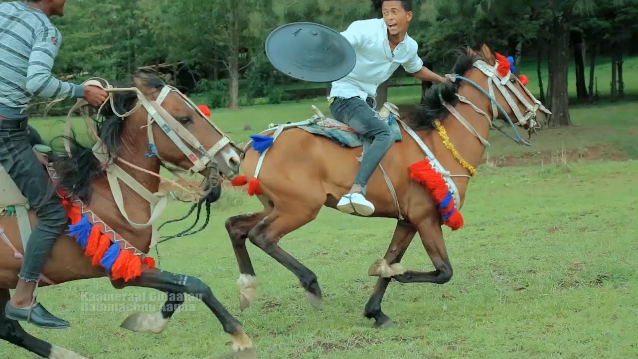 New Ethiopian video - Boonaa Girmaa - Gubannee Gubannee - Affan Oromoo ...