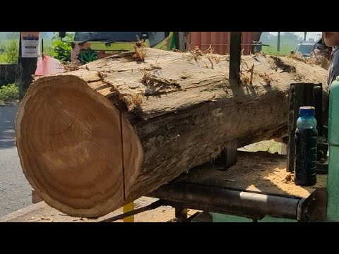 SAAT DIGRAJI‼️ Kayu jati Ada warna galih doreng yg selama ini dicari ...