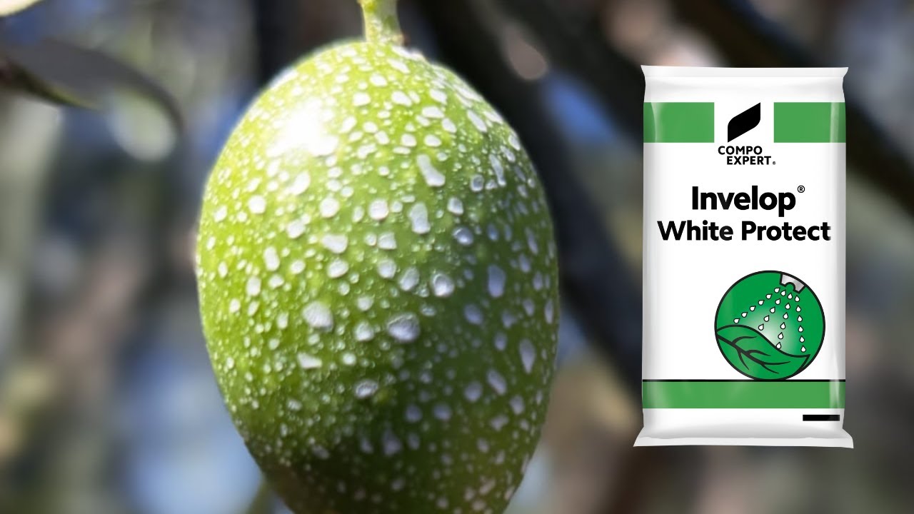 Acción frente estrés térmico - Potenciador de fitosanitarios - Invelop ...