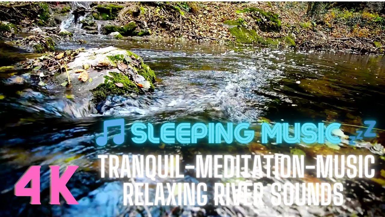 Tranquil Meditation Music: Serenity, Harmony & Inner Exploration | 5 Hours Relaxing Music ...