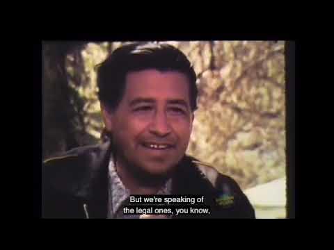 Cesar Chavez Tells The Truth About Illegal Immigration's Effect on ...