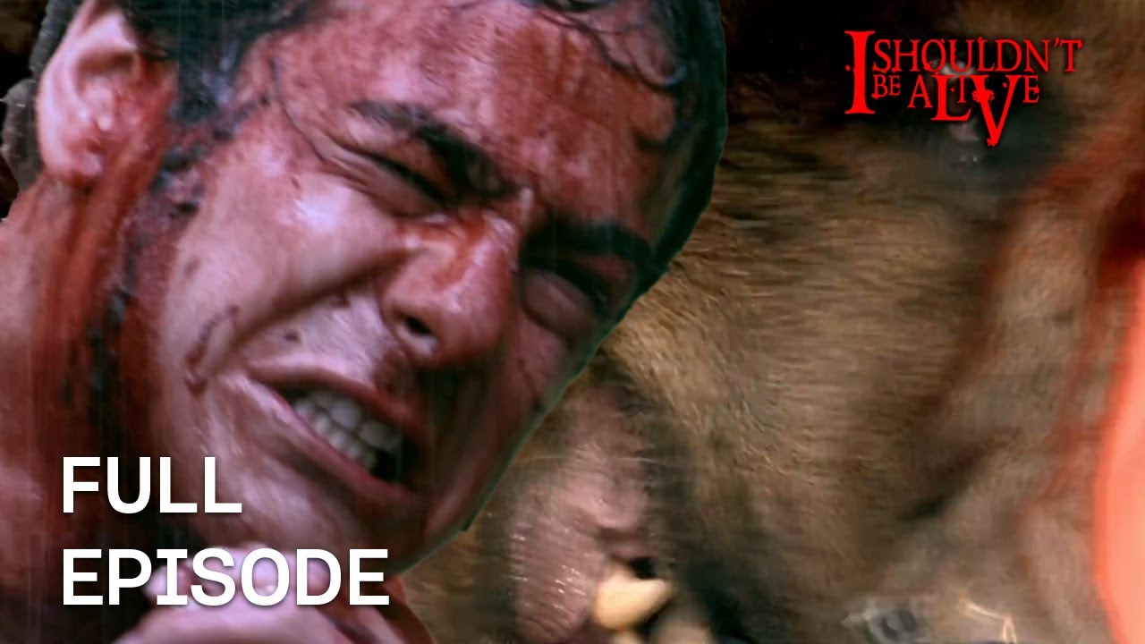 Teenager Is Nearly Ate ALIVE By A Grizzly Bear | S3 E04 | Full Episode ...