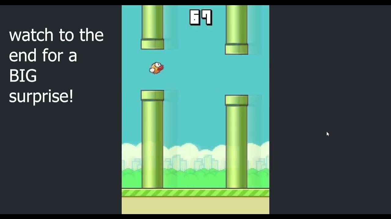 FLAPPY BIRD CHILL GAMEPLAY ASMR 24 HOUR PERFECT LOOP - YouTube