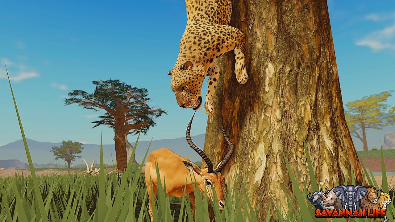 The Chaotic Leopard Hunt! | ROBLOX Savannah Life - YouTube
