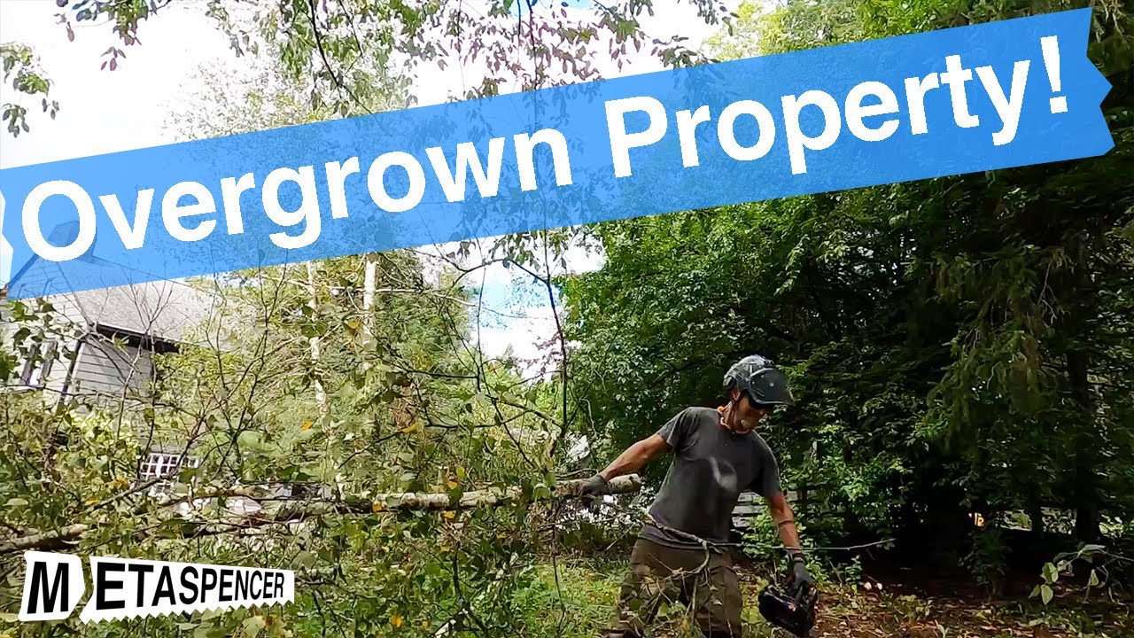 Clearing an Overgrown Property - YouTube