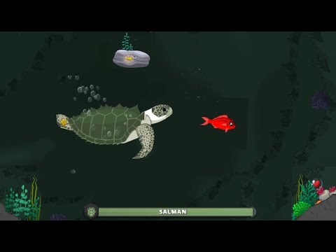 Fish Royale game || Fought with the tortoise boss and completed level 1 ...