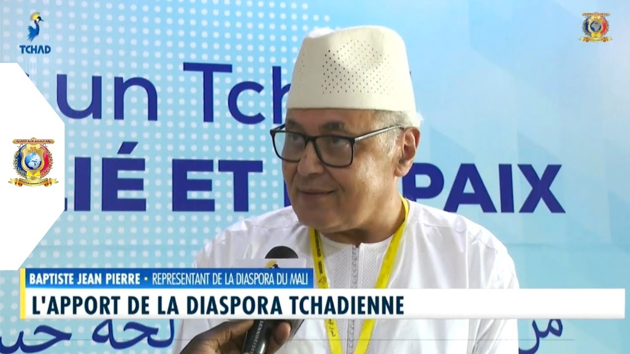 DIALOGUE NATIONAL INCLUSIF ET SOUVERAIN - L'Apport de la diaspora ...
