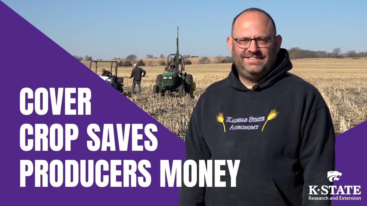 Cover Crop Saves Producers Money - YouTube