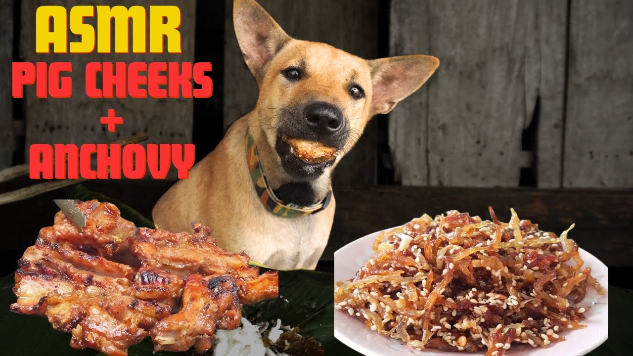 MUKBANG + ASMR Country Dog Mukbang Satisfying - Eating animal organs ...