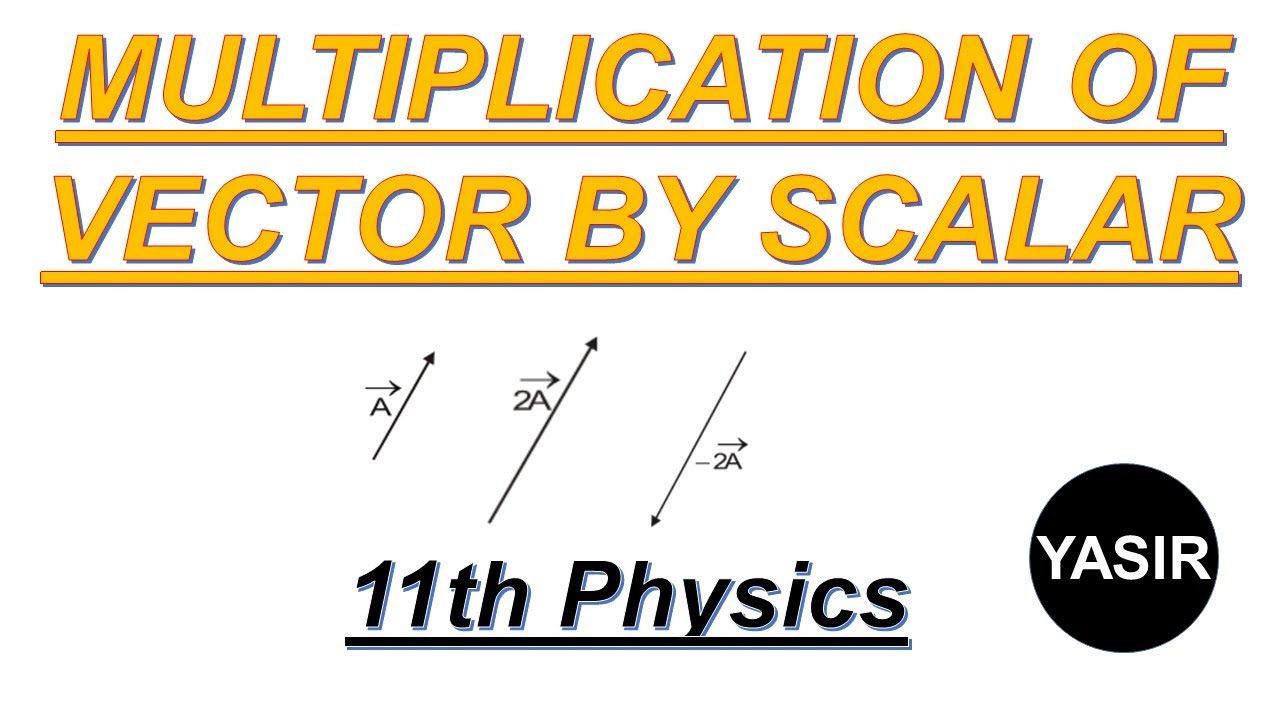 Multiplication of a Vector by a Scalar |1st Year Physics, Ch #2, Lec ...