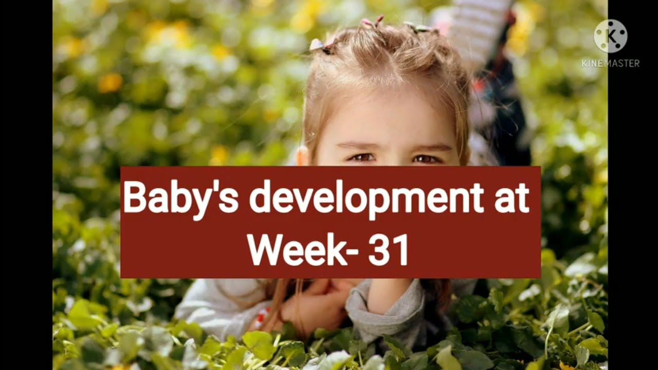 Baby's Development at Week- 31| Baby's development at 31st week of ...