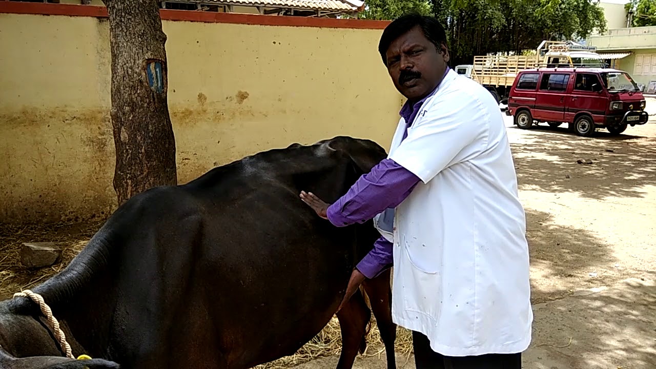 Dharma's technique of Palpation in diagnosis of Diaphragmatic Hernia in ...