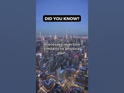 The Hidden Pain: How Your Brain Processes Rejection Like a Wound! 💔🧠 #psychologyfacts # ...