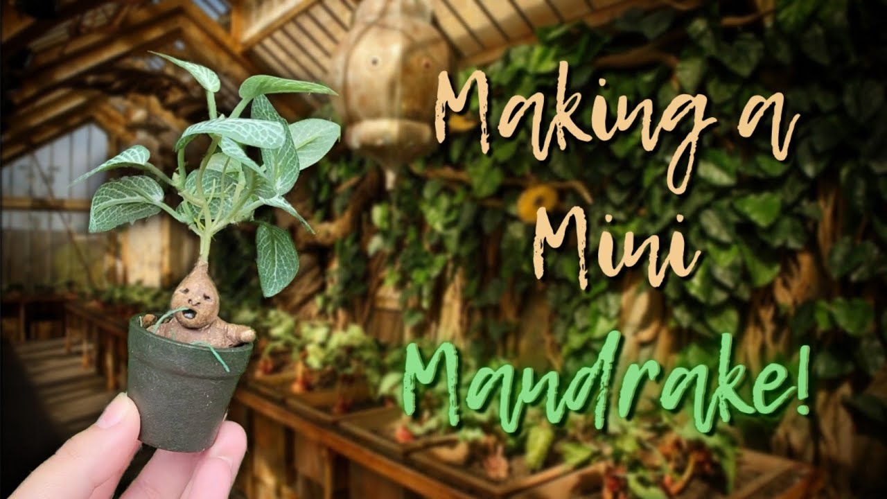 Mandrake DIY | Making a Harry Potter Mini Mandrake! - YouTube