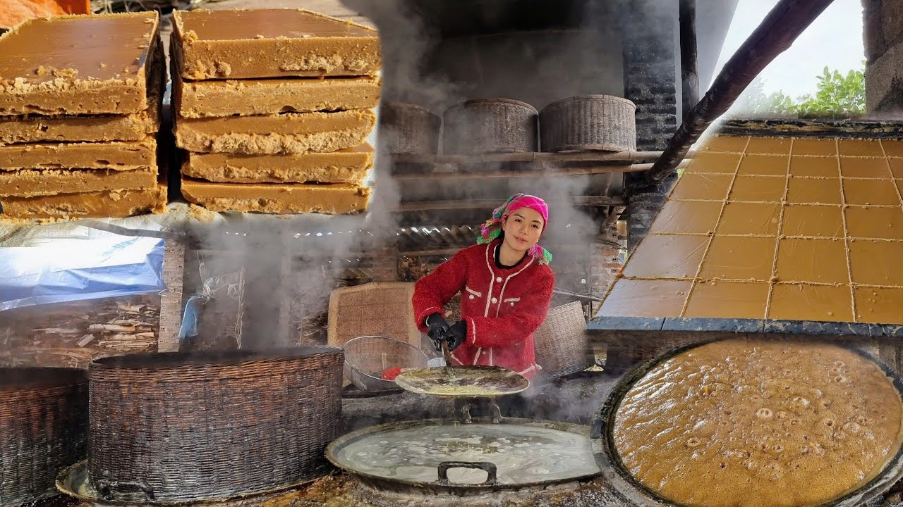 The process of making traditional, handmade cane sugar, take sugar to ...