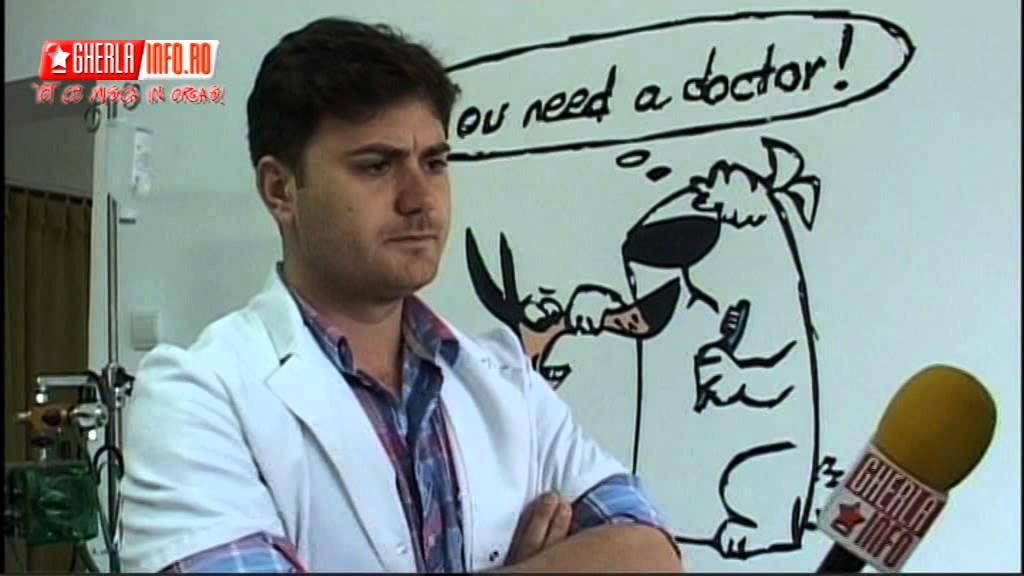 Microcipare caini - YouTube