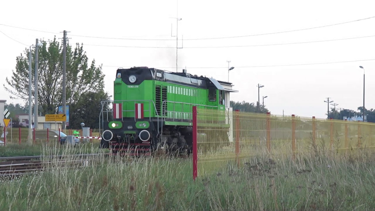 TEM2-259 + Rp1 - YouTube