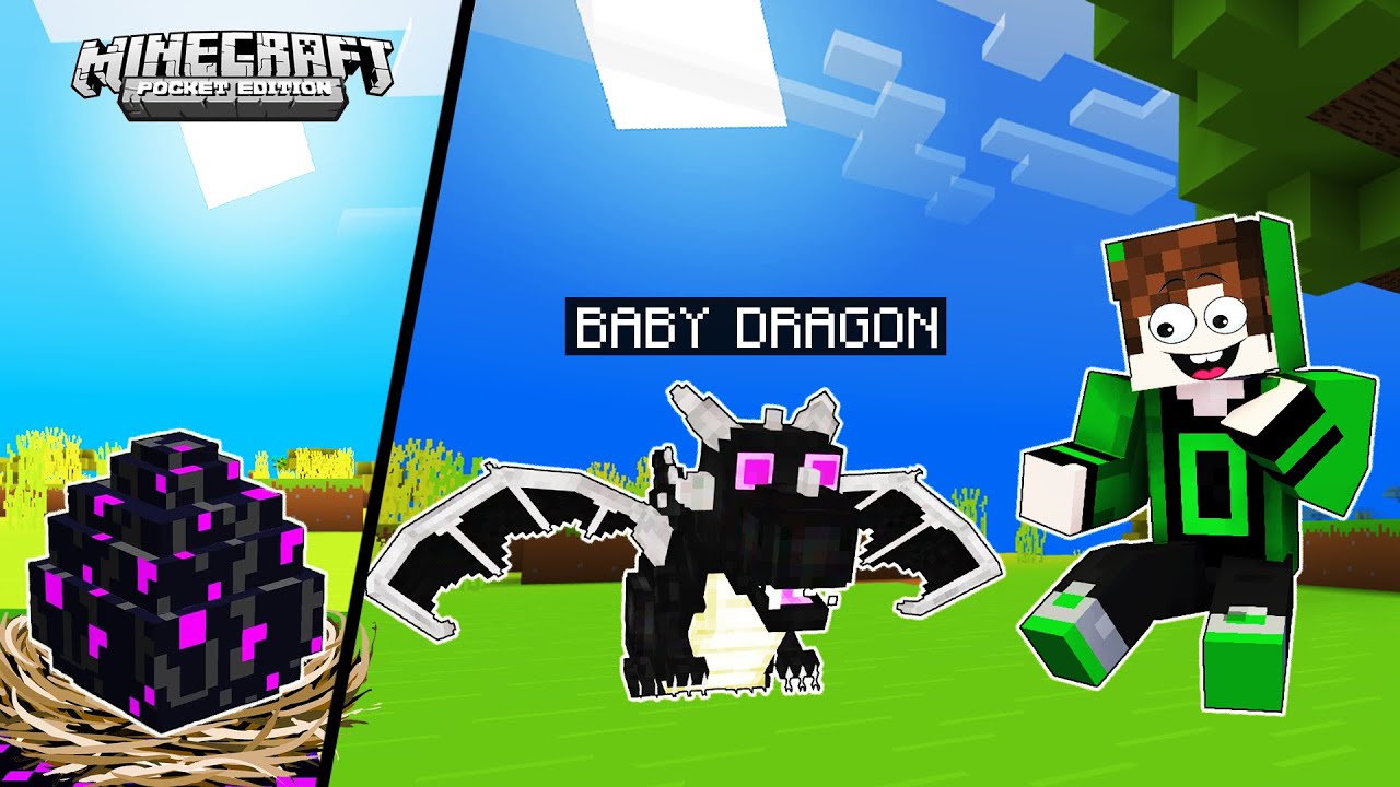 We ADOPTED Baby Dragons in Minecraft PE! - YouTube