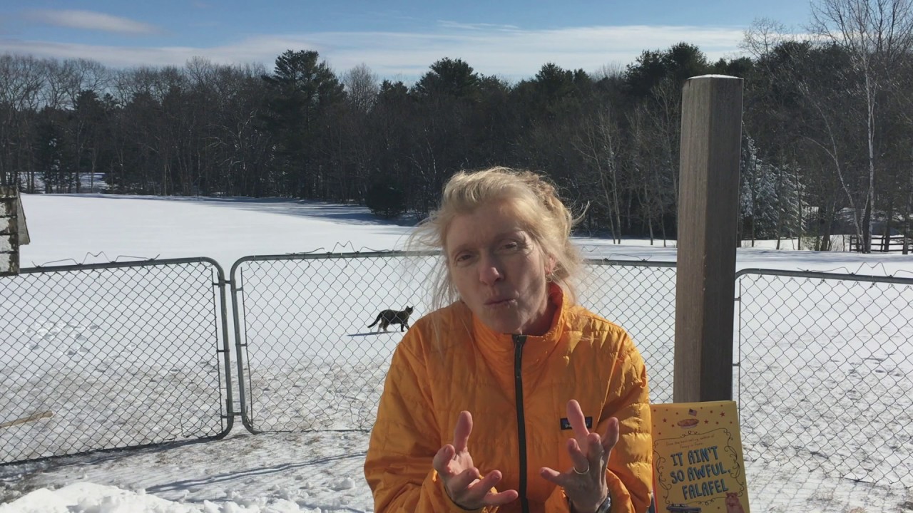 It Ain't So Awful Falafel book review - YouTube