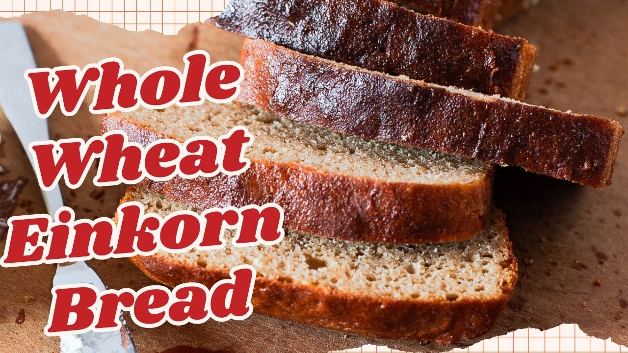Homemade No Knead Whole Wheat Einkorn Bread Recipe | Loaf Pan Bread Bake - YouTube